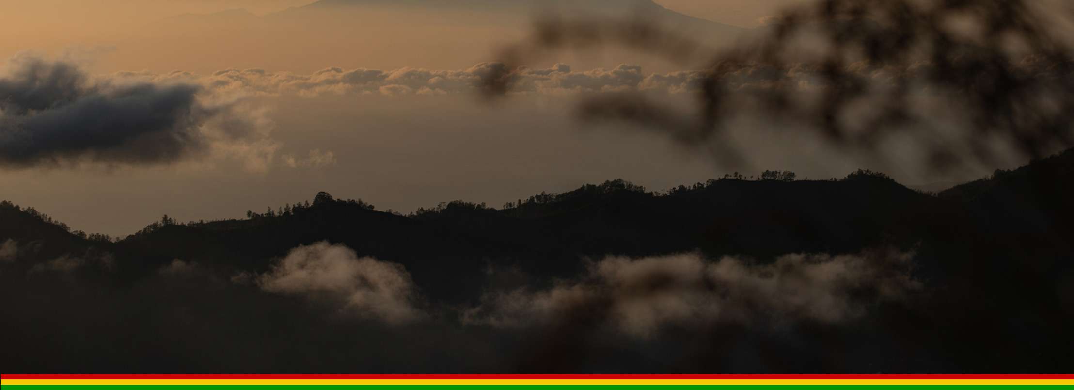 The house of his Majesty – dub-injahgarden.com